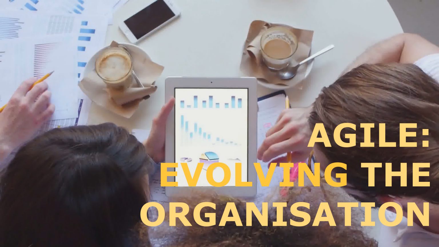 The Agile Practice Guide Video Course | Project Success